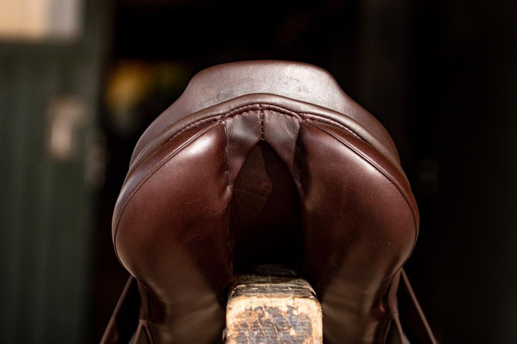 ¿Cómo escoger la montura adecuada para mi caballo? - chaccoinfo.com