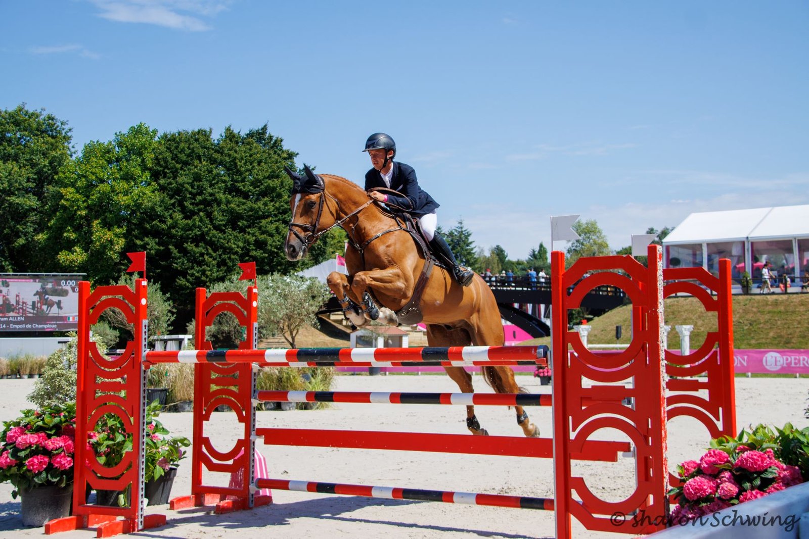 Nuevo caballo de Gran Premio para Cian O'Connor - chaccoinfo.com