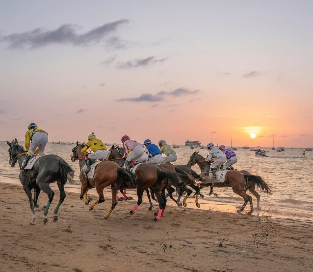 Las Carreras de Caballos de Sanlúcar de Barrameda celebran 180 años de tradición en 2025 ...