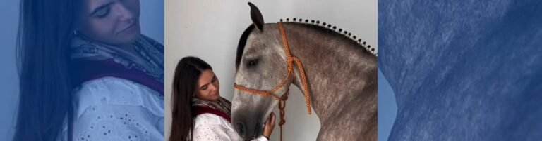 Tipos de trenzado para caballos - Chacco Info