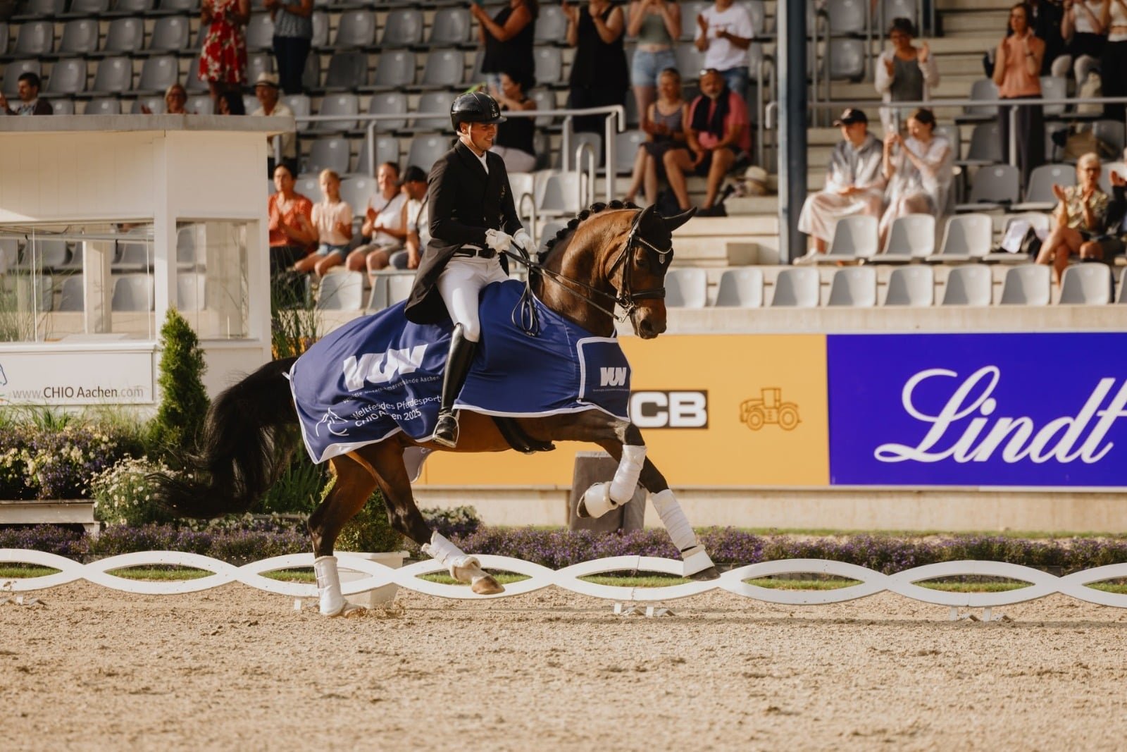 CHIO Aachen 2025: McLain Ward con High Star Hero gana el premio STAWAG ...