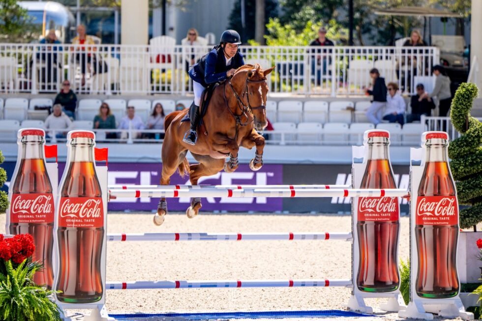 El cebrallo, un híbrido increíble. - chaccoinfo.com
