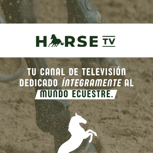 Ludger Beerbaum, el "padre" del Salto alemán - Chacco Info